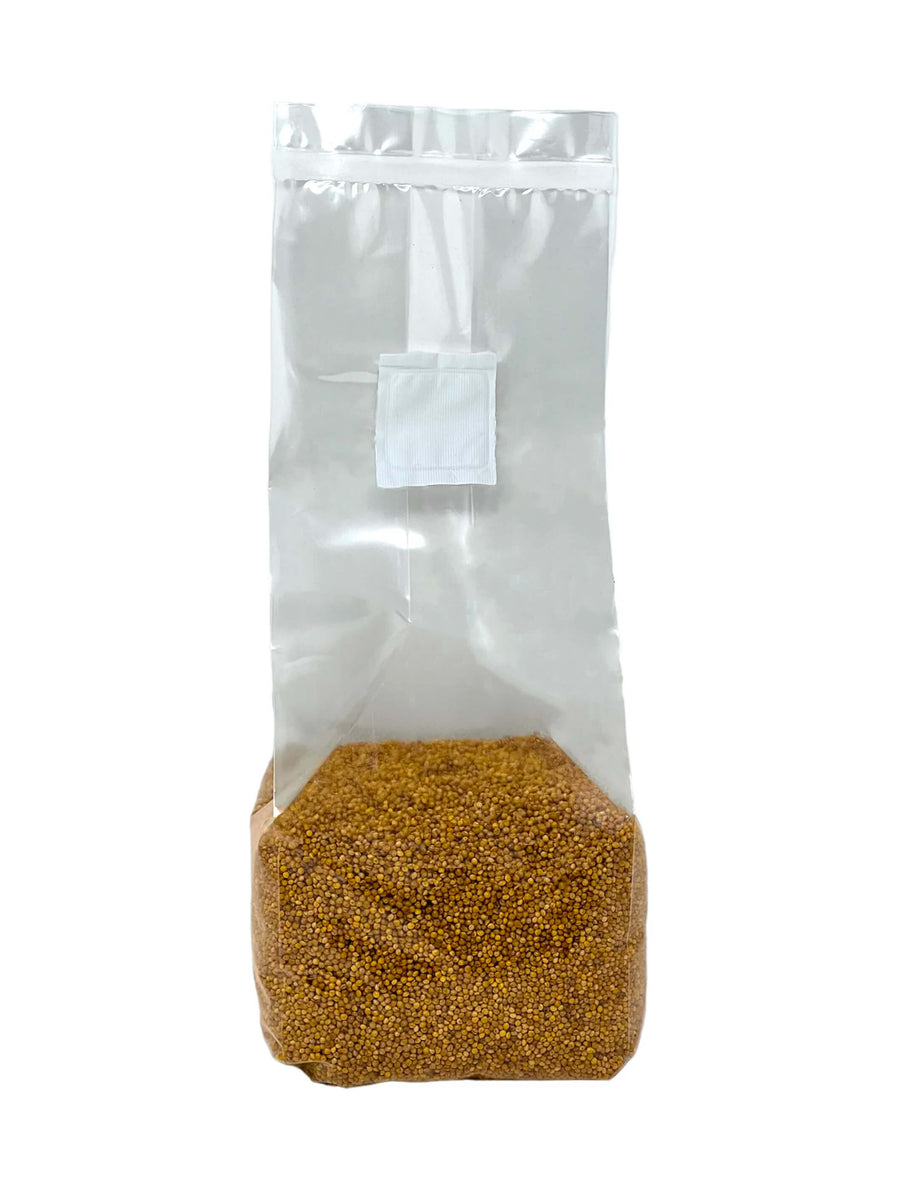 Sterilized Wheat Grain Spawn – Kivi Grow